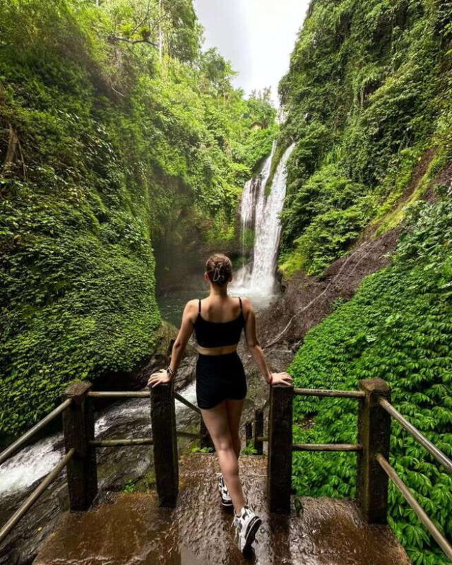 Bali: Cliff Jumping Gitgit Waterfalls & Rice Terrace Tour - Who Will Enjoy This Tour?