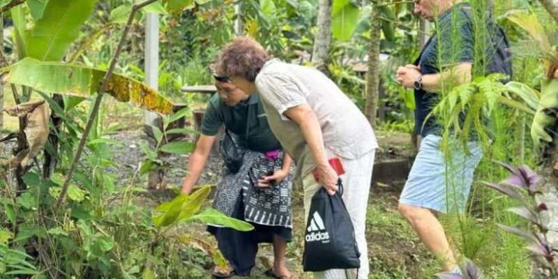 Bali: Cooking Class with Monkey Forest and Art Village Tour - Authenticity and Value