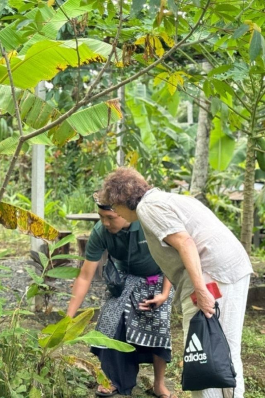 Bali: Cooking Class with Monkey Forest and Art Village Tour - Who Is This Tour Best For?