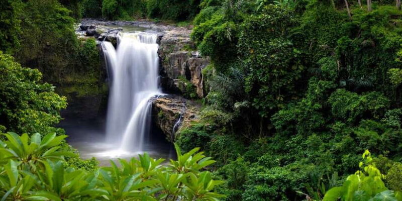 Bali: Costumized Tour with Private Transport and Guide - Key Points