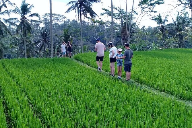 Bali Countryside Cycling Tours - The Itinerary in Detail