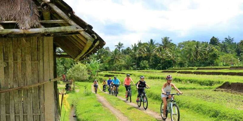 Bali: Countryside on Two Wheels Cycling Adventure - The Itinerary: A Day in Bali’s Heartland