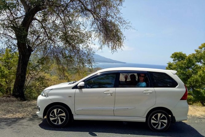 Bali Custom Car Charter - Who Is This Tour Best For?