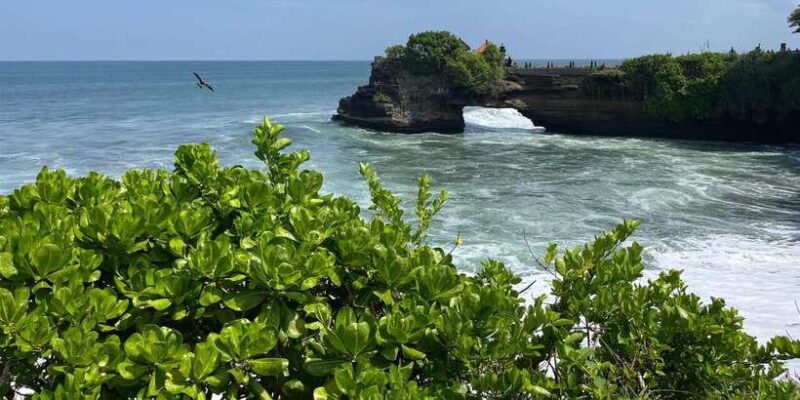 Bali: Customise your Bali Tour with Driver-Guide - Authentic Experiences and Authenticity