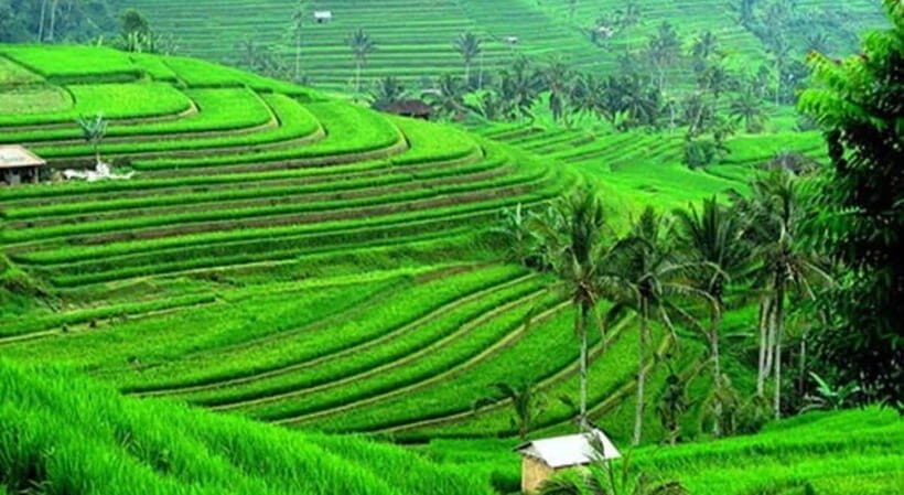 Bali: Customised North Bali Tour With Hotel Transfer - Key Points