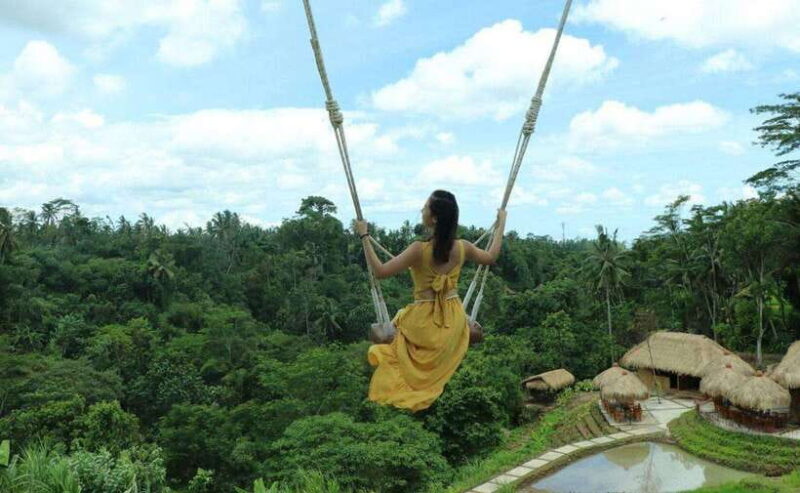 Bali : Customised Private Tour with Car Charter - Who Will Love This Tour?