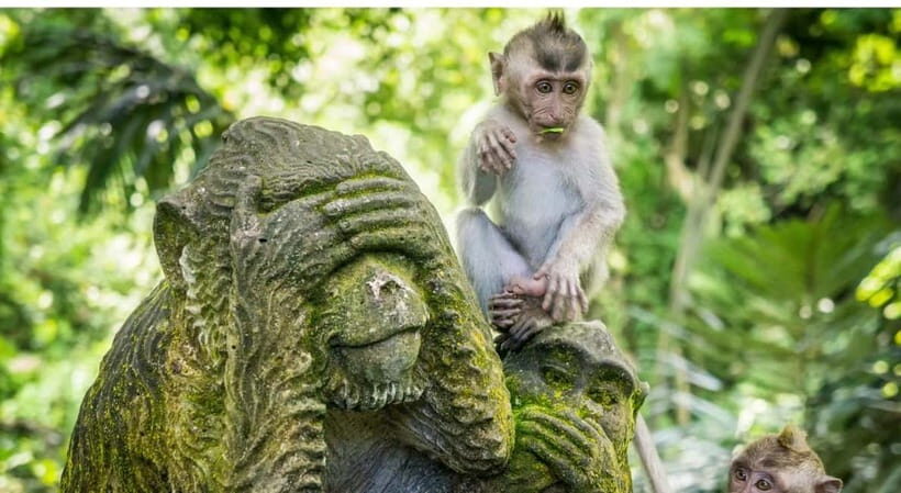 Bali: Customised Ubud Tour with Profesional Tour Guide - FAQ
