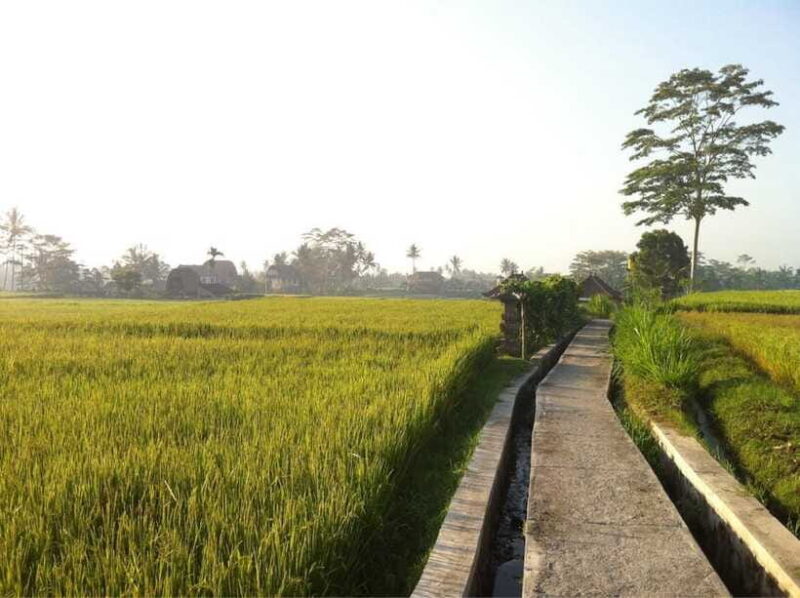 Bali: Customizable Tour with Local Guide - Practical Tips for Travelers