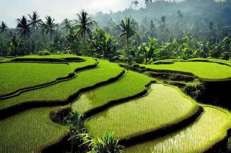 Bali: Customizable Tour with Local Guide - Who Will Love This Tour?