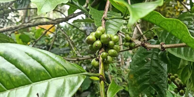 Bali: Customize Private Day Tour with Driver-Guide - What Travelers Say About This Tour