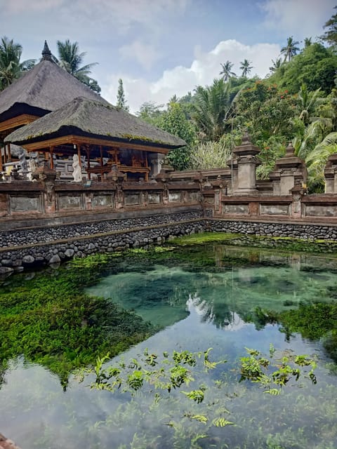 Bali: Customize Private Day Tour with Driver-Guide - Transportation and Cost-Effectiveness