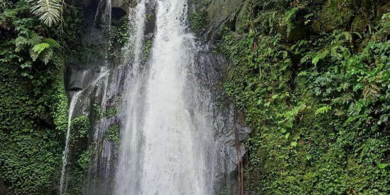 Bali: Customize Private Day Tour with Driver-Guide - FAQs