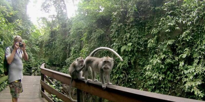 Bali: Customize Your Own Private Guided Tour in Bali - Key Points