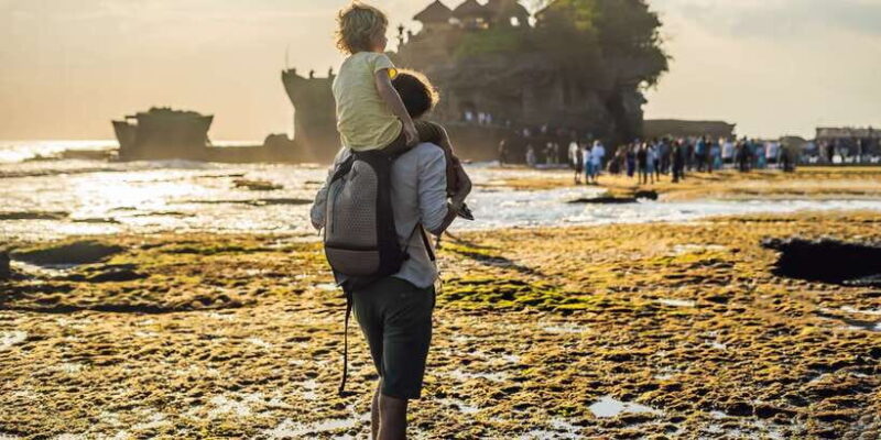 Bali: Customize Your Own Private Guided Tour in Bali - Review Highlights: Authentic Experiences & Value