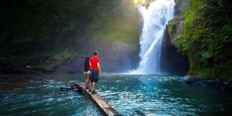 Bali: Customize Your Own Private Guided Tour in Bali - Who Should Consider This Tour?