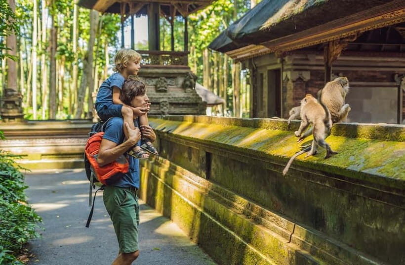 Bali: Customized Private Car Charter with Optional Guide - The Value of Personal Guides and Customization