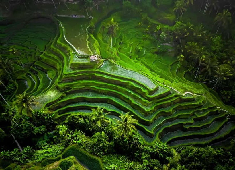 Bali: Customized Private Car Charter with Optional Guide - Who Should Consider This Tour?