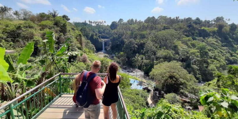 Bali: Customized Private Tour - Deep Dive: The Practicalities