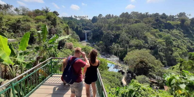 Bali: Customized Private Tour - Why This Tour Is a Great Value