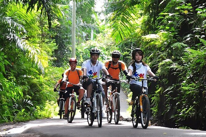 Bali Cycling and Ayung River Rafting Packages - What’s Included and What’s Not