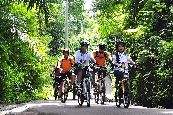 Bali Cycling and Jungle Swing Adventure Experience - The Itinerary: What to Expect