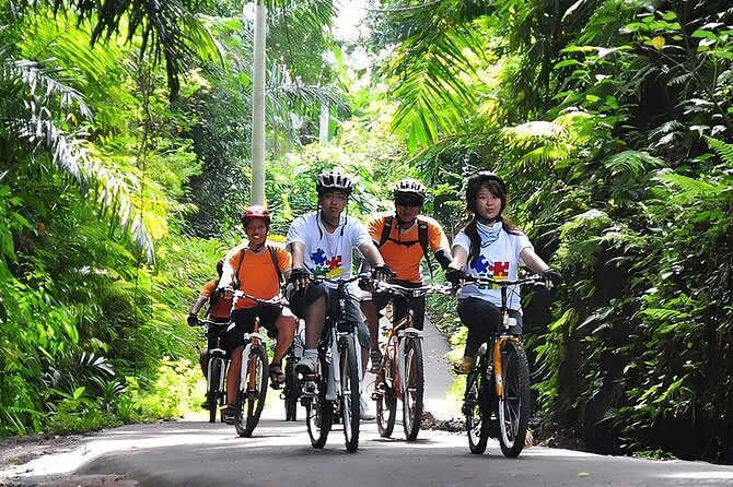 Bali Cycling and Ubud Waterfall Tour - Authenticity and Traveler Feedback