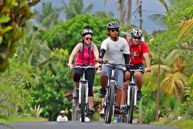 Bali Cycling and Uluwatu Tour Packages - Introduction: The Tour at a Glance