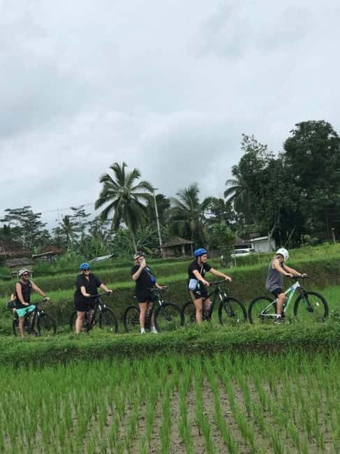Bali: Cycling Tour with Breakfast - How the Tour Works: A Day in Ubud’s Countryside
