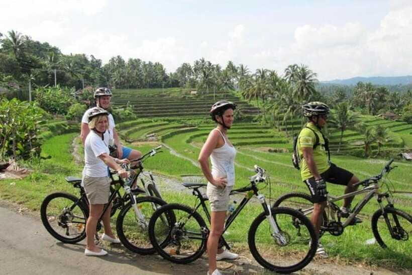 Bali: Cycling Tour with Lunch and Hotel Transfer - Final Thoughts: Who Should Consider This Tour?