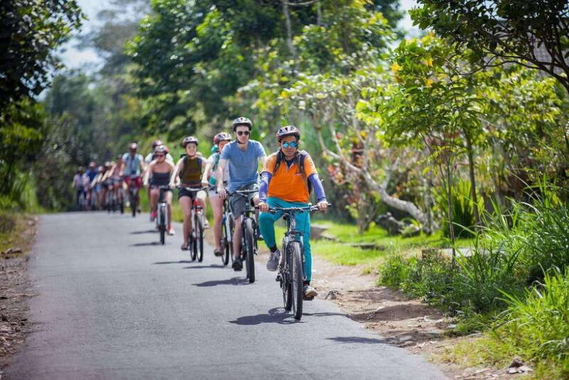 Bali: Cycling Tour with Lunch and Hotel Transfer - Key Points