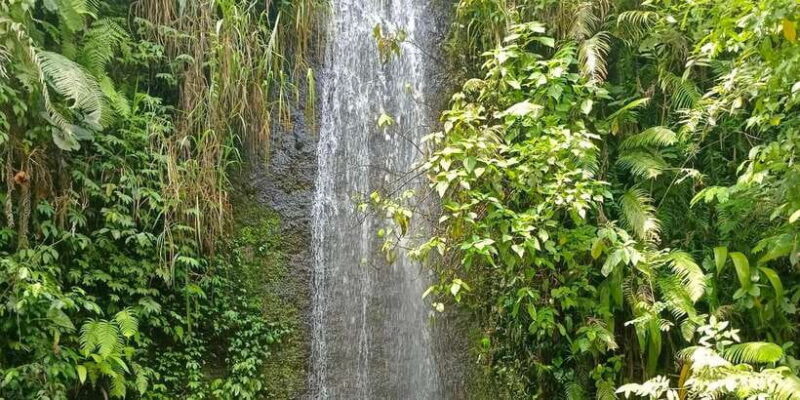 Bali : Day Trip to Besakih Temple & 2 Hidden Waterfalls - Key Points