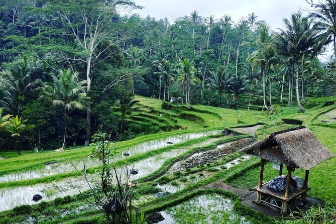 Bali Dirt Bike Enduro at Batur Volcano and Kintamani Forest - Final Thoughts