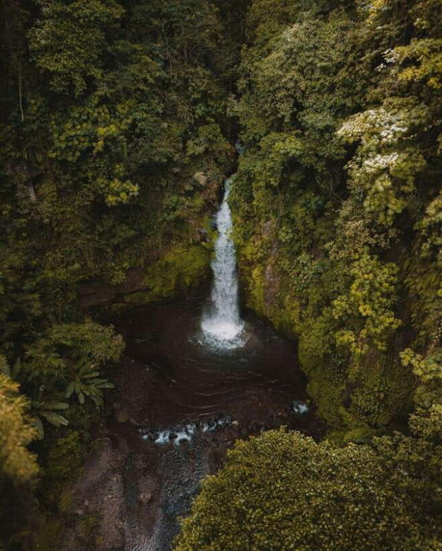 Bali: Discover Jungle Waterfalls and Rice Terraces - Key Points