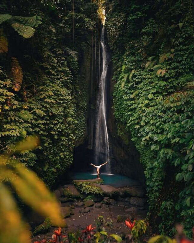Bali: Discover Jungle Waterfalls and Rice Terraces - Why This Tour Offers Great Value