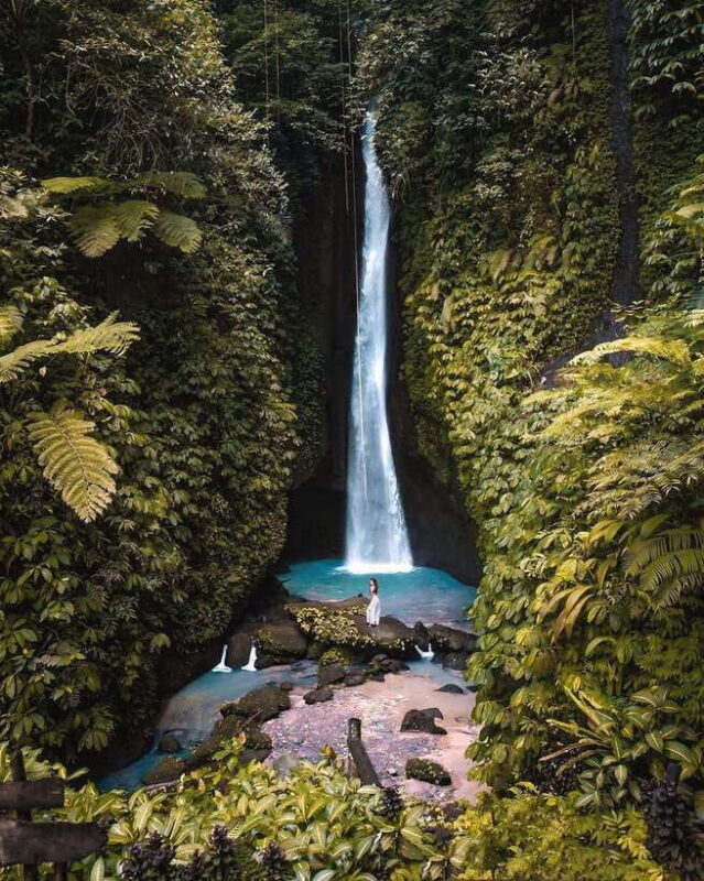 Bali: Discover Jungle Waterfalls and Rice Terraces - Practical Details