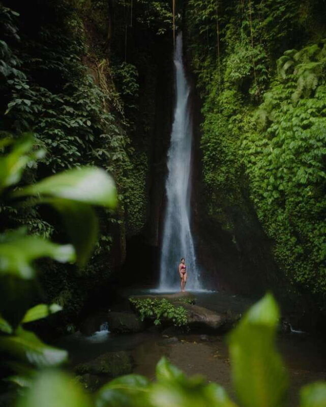 Bali: Discover Jungle Waterfalls and Rice Terraces - Authentic Experiences that Keep Travelers Coming Back