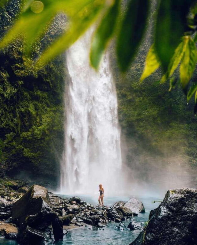 Bali: Discover Jungle Waterfalls and Rice Terraces - Final Thoughts: Is This Tour Right for You?