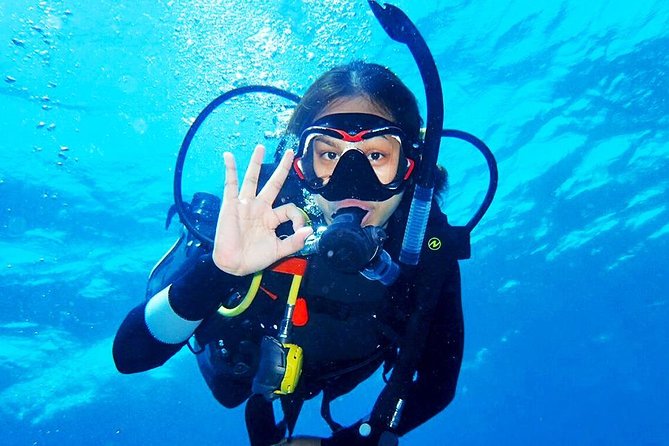 Bali Diving for Beginners: Tulamben Liberty Wreck - Final Thoughts