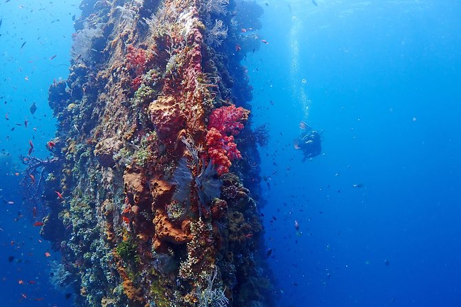 Bali Diving for Beginners: Tulamben Liberty Wreck - FAQs