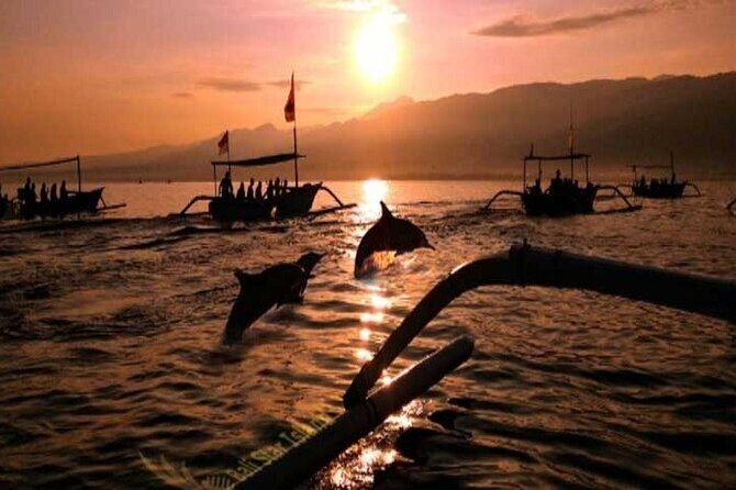 Bali Dolphin Lovina tour and Ulundanu Beratan - Final Word