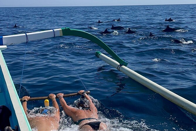 Bali : Dolphin Sunrise Experience Tour Private All Inclusive - Key Points