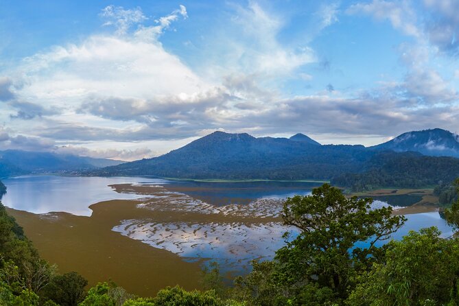 Bali : Dolphin Sunrise Experience Tour Private All Inclusive - Aling-Aling Waterfall: A Jungle Treasure