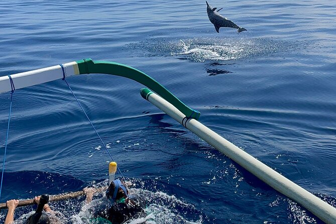 Bali : Dolphin Sunrise Experience Tour Private All Inclusive - Real-World Experiences and Perspectives