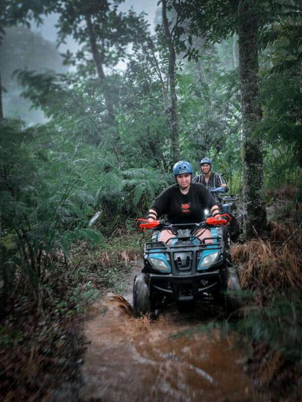 Bali: Dolphin Swimming Tour with ATV Quad Bike & Waterfall - Whats Included and What to Consider