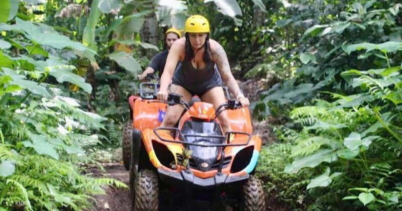 Bali: Dolphin Swimming Tour with ATV Quad Bike & Waterfall - Who Should Consider This Tour?