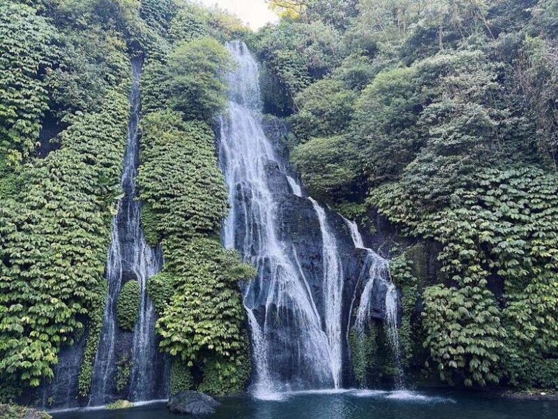 Bali: Dolphin Swimming Tour with ATV Quad Bike & Waterfall - Final Thoughts