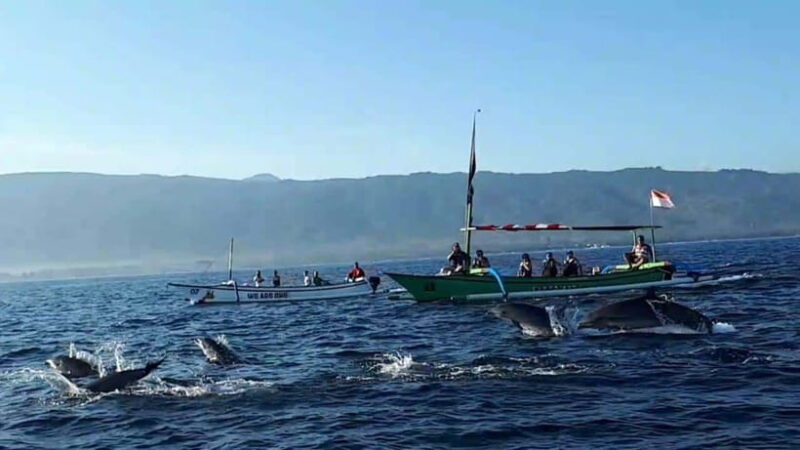 Bali Dolphin tour and sunrise in Lovina - The Itinerary in Detail