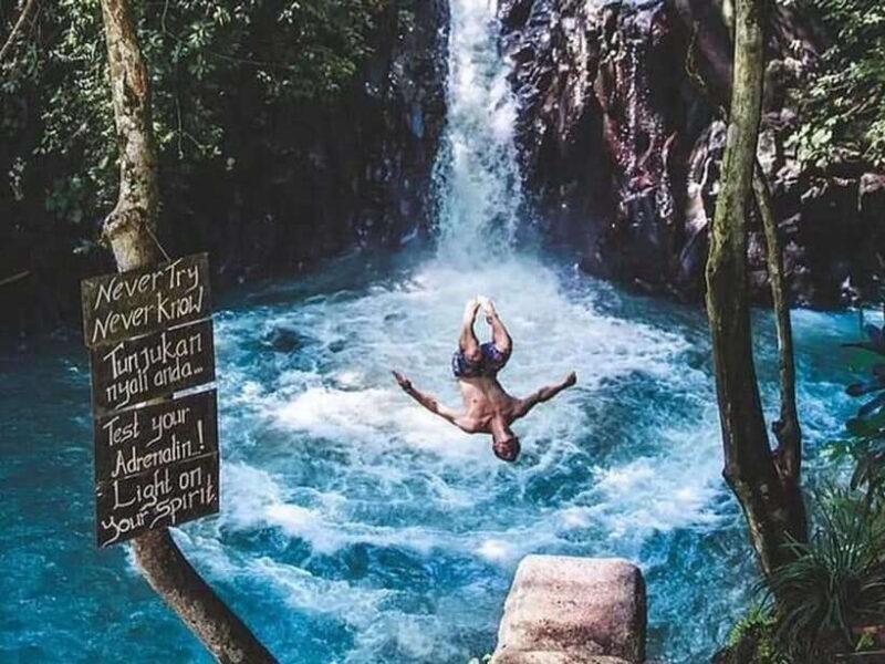 Bali: Dolphin Watching, Aling Aling Waterfall, and Coffee - Breaking Down the Itinerary