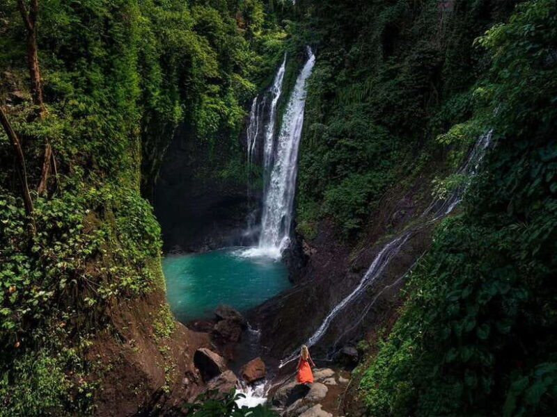 Bali: Dolphin Watching, Aling Aling Waterfall, and Coffee - Evaluating the Value