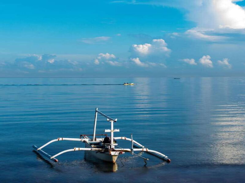 Bali: Dolphin Watching, Aling Aling Waterfall, and Coffee - FAQ